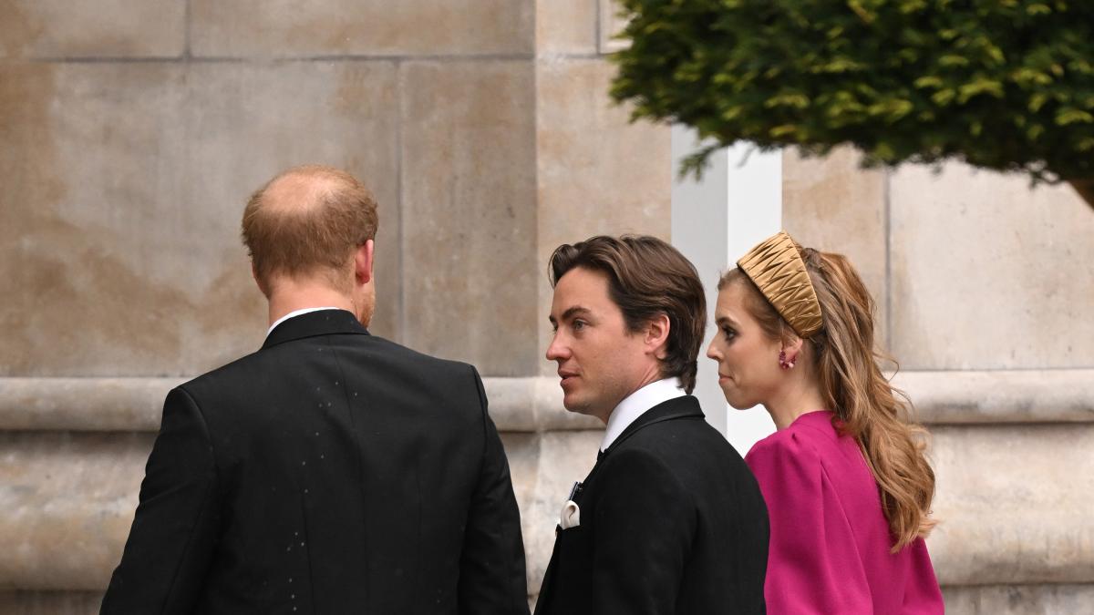 Incoronazione di Re Carlo III: chi è Edoardo Alessandro Mapelli Mozzi ...