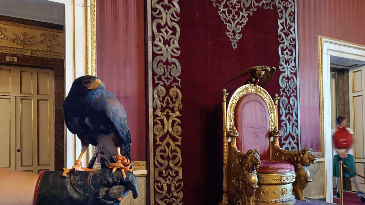 Falchi e falconieri a Palazzo Reale di Napoli | Corriere.it