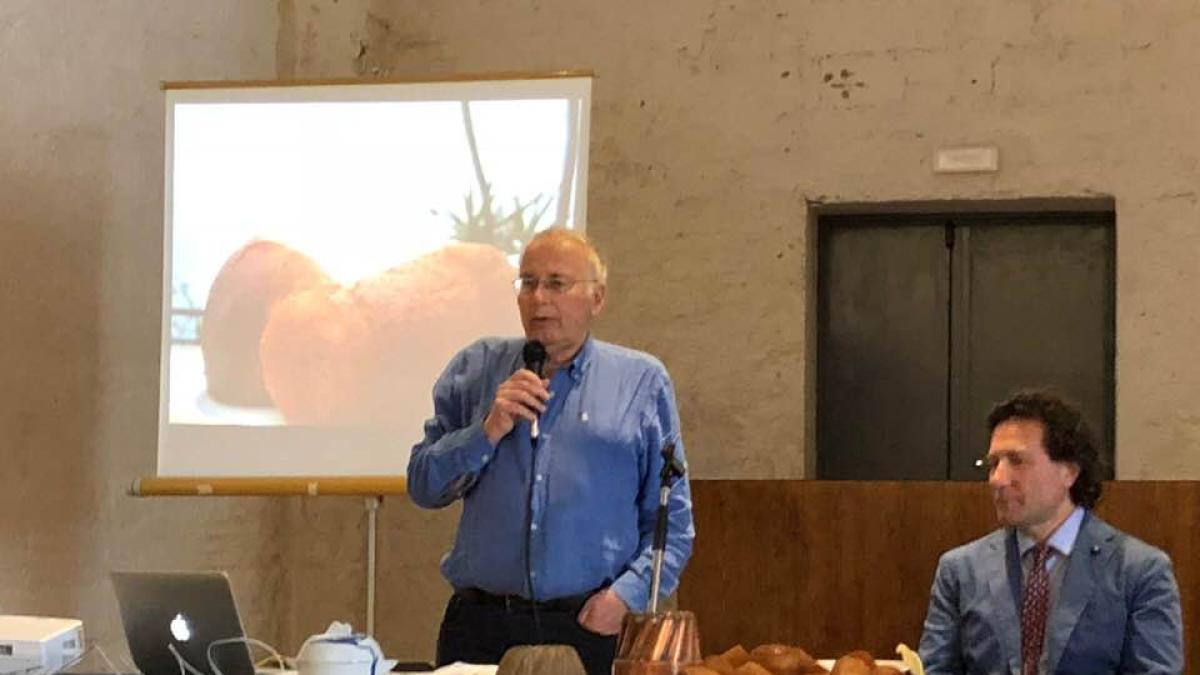 Morto Fabrizio Mangoni, architetto, docente universitario ed esperto di ...