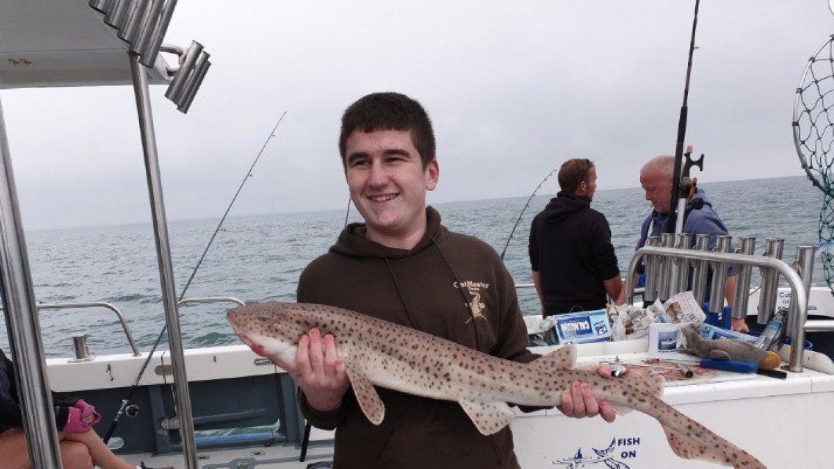 Arion Kurtaj, 18 anni, la mente dietro ai colpi clamorosi degli hacker Lapsus$ contro Uber ...