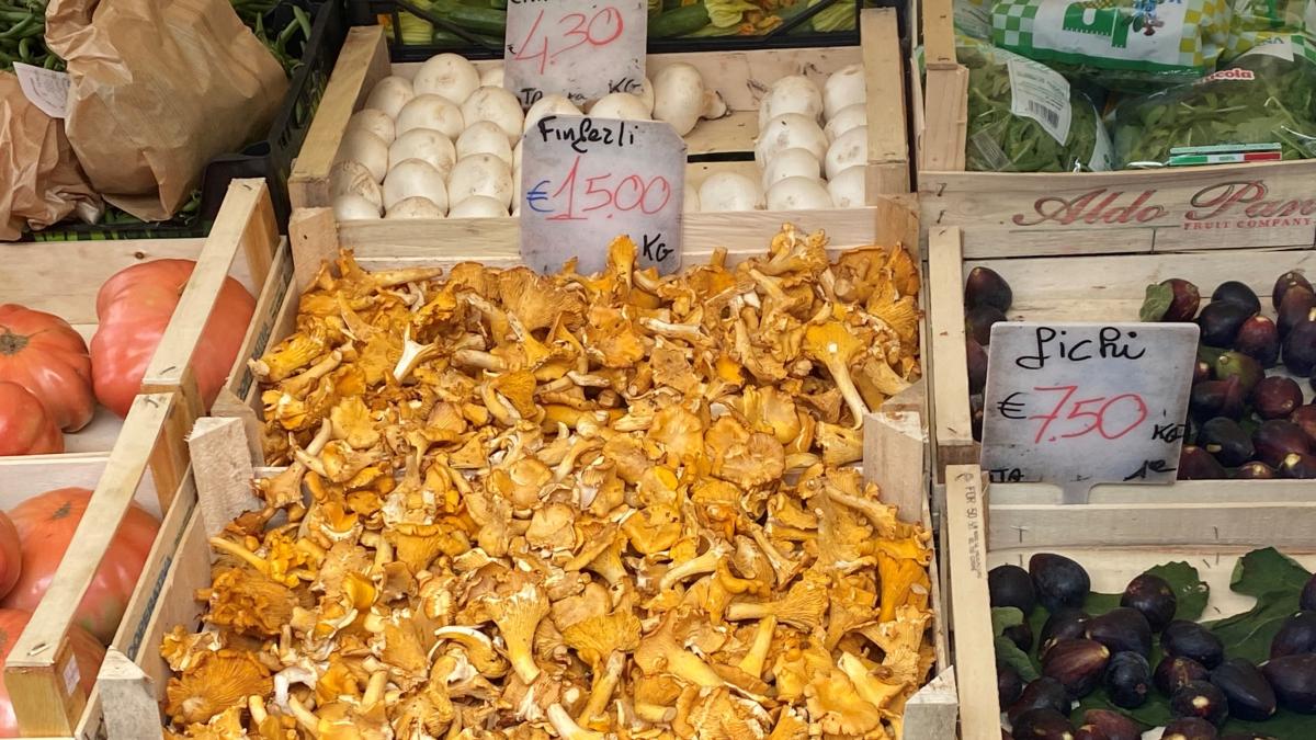 Funghi, buona raccolta ma prezzi più cari al mercato: «Finferli a oltre ...