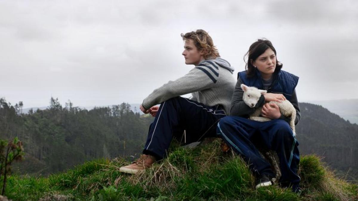 Lago Maggiore, ritorna il Festival del Cinema Povero a Ispra: a basso ...