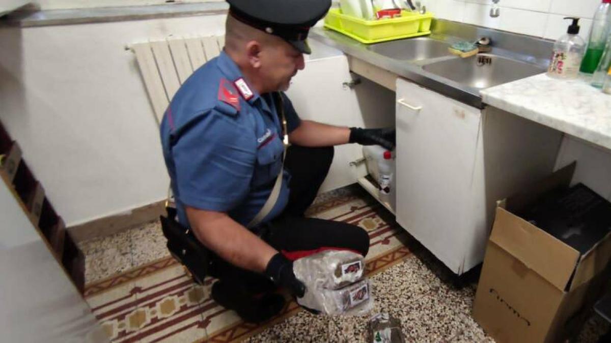 Lucca, vanno ad arrestarlo per maltrattamenti e gli trovano in casa 6kg ...