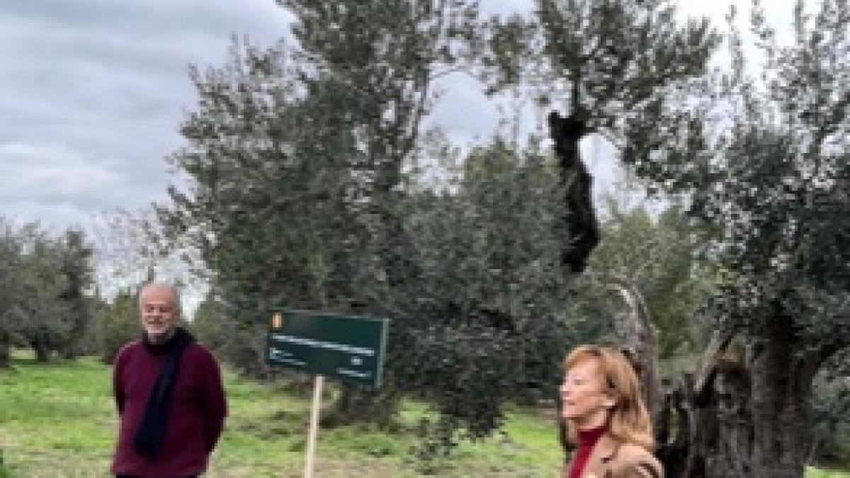 La morte di Lisa Federico al Bambino Gesù, un ulivo e un libro «nella ...