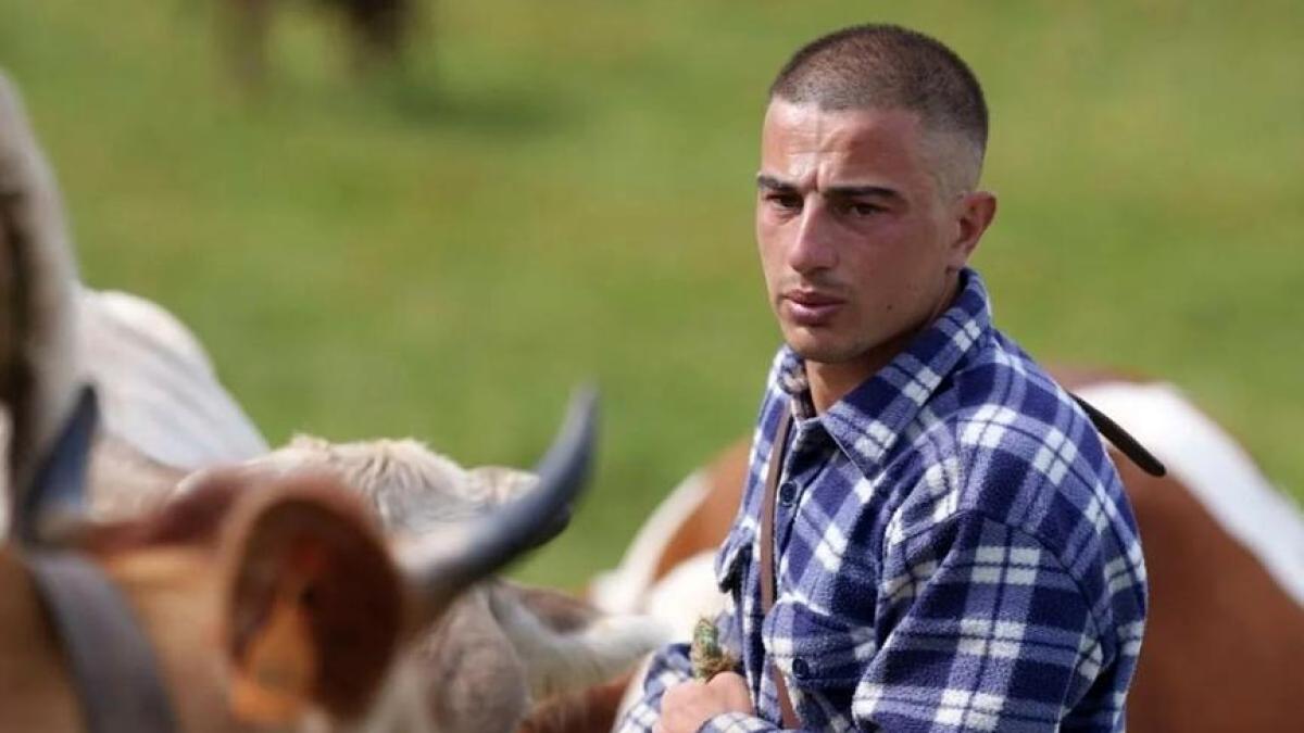 Dagli alpeggi al Florida, arriva Davide Codazzi: il pastore influencer ...