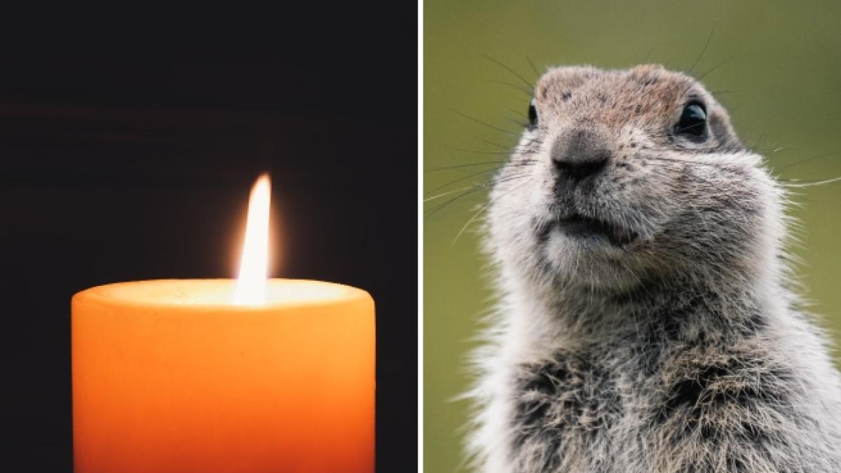 Il 2 febbraio è il giorno della Candelora: significato del nome e ...