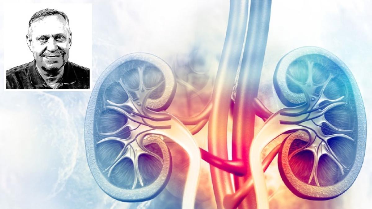 Trapianto di rene: quando si può diminuire o sospendere la terapia ...