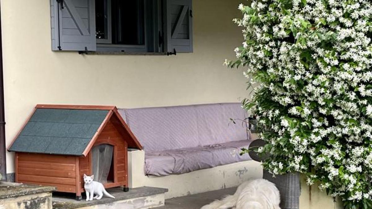 Bonnie, Charles e il senso di indipendenza del micetto che cresce e ...