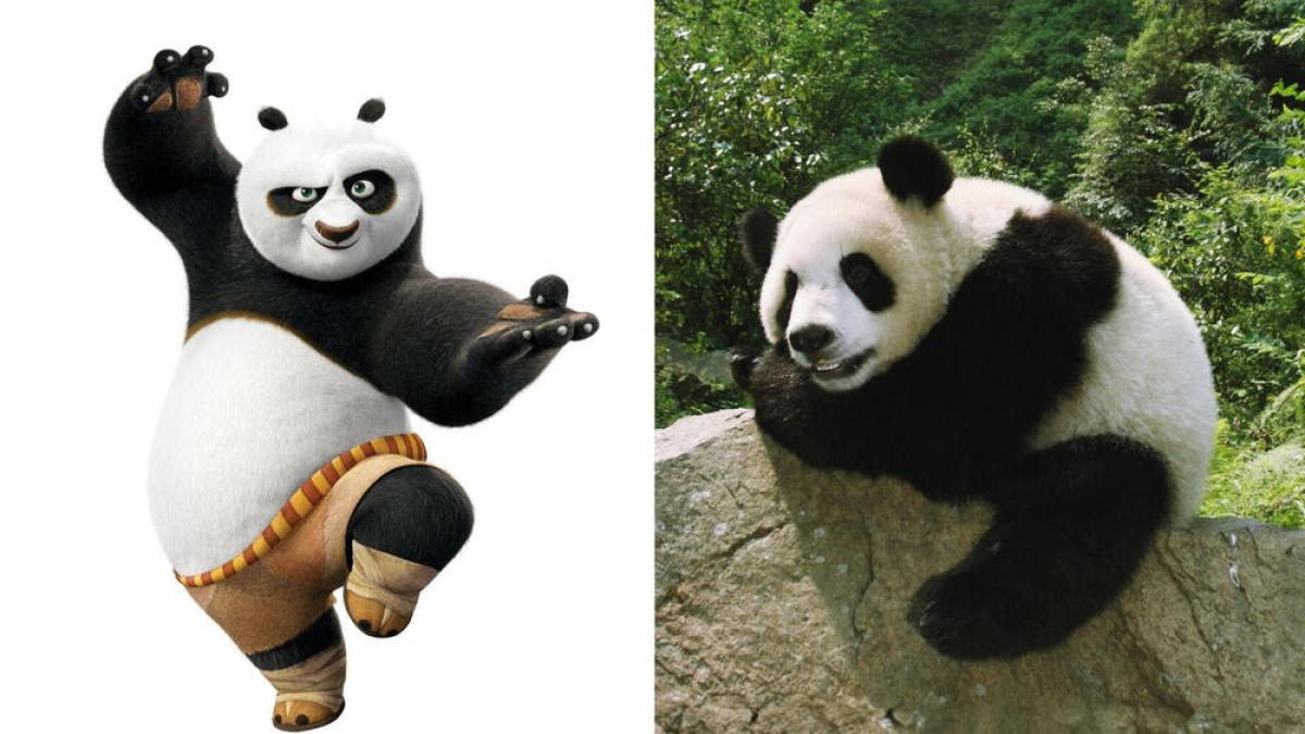 Kung Fu Panda 4, il Wwf: «Gli animali protagonisti sono a rischio nel ...
