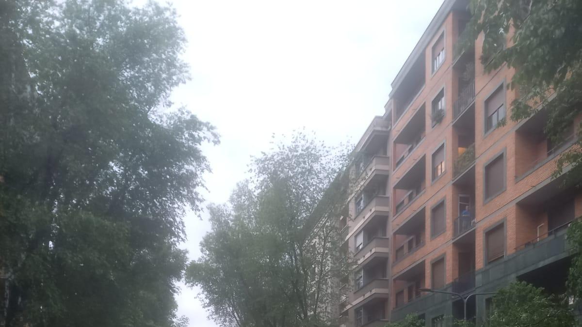 Milano, un albero cade in via Foppa e colpisce un'auto e una moto ...