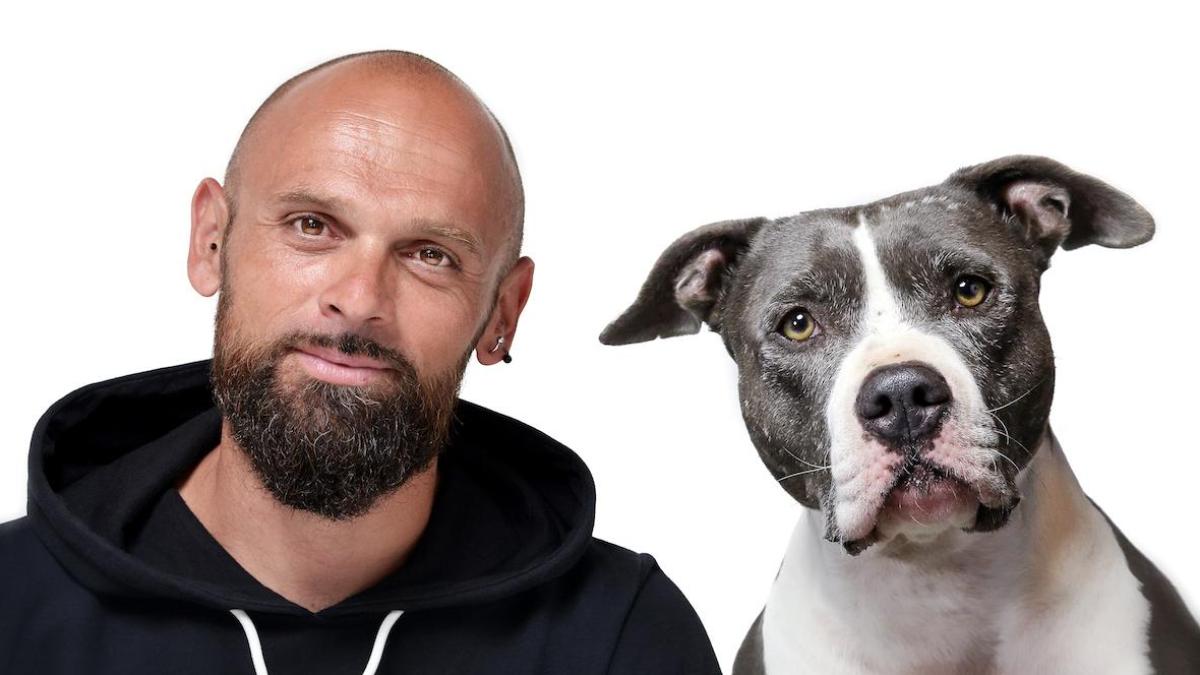 Simone Dalla Valle: «Il cane più pericoloso? Quello che ha vissuto nel ...
