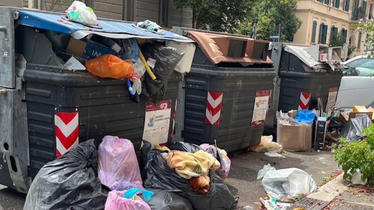 Degrado a Roma: cassonetti pieni, rotti e rovesciati, rifiuti nei ...
