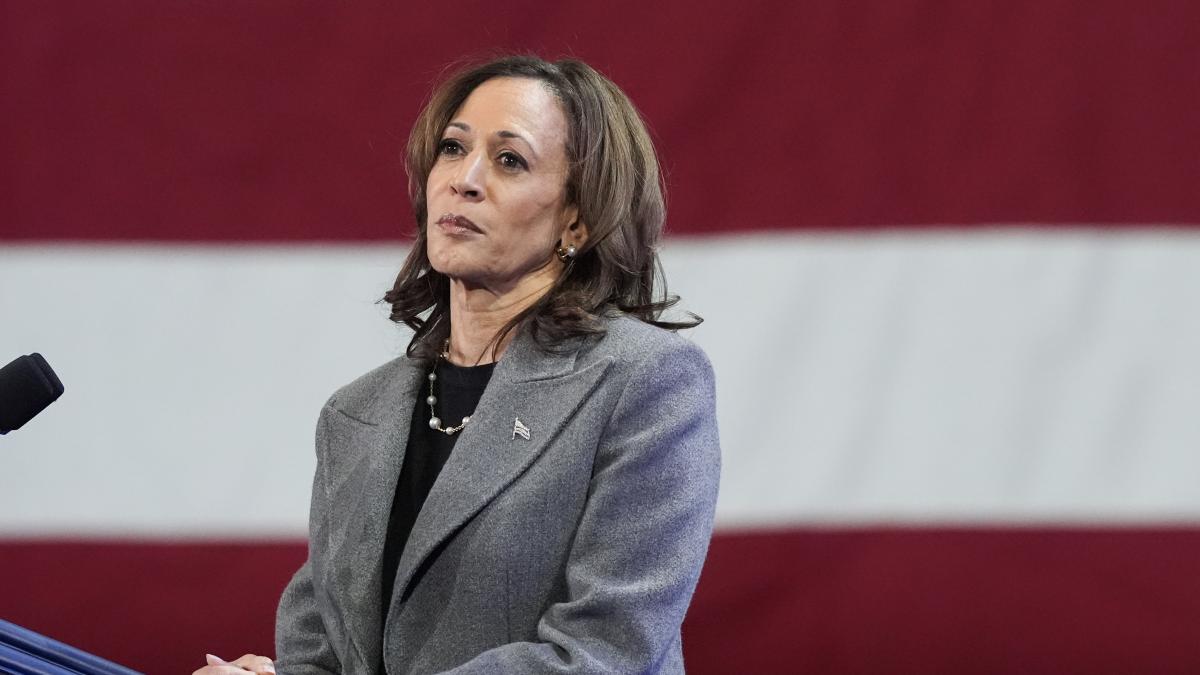 Progress 2028: cos'è il sito falso creato dai trumpiani per screditare ...