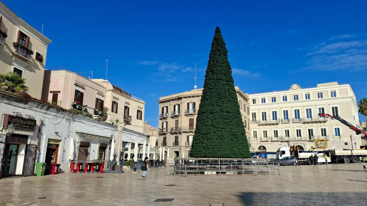 Luci, show, alberi e mercatini, Bari diventa città del Natale. Si parte ...