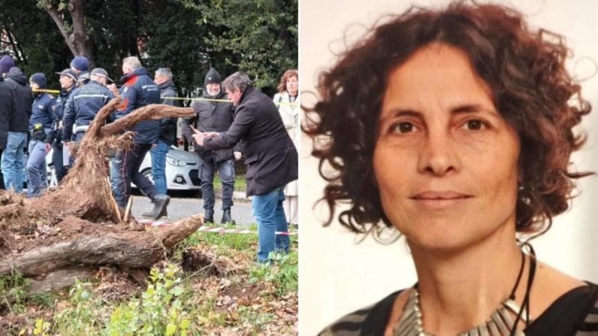 Francesca Ianni uccisa dall'albero a Colli Aniene: oggi i funerali ...