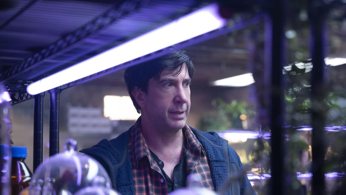 David Schwimmer, oltre Ross: «Dagli amori di Friends all'horror di ...