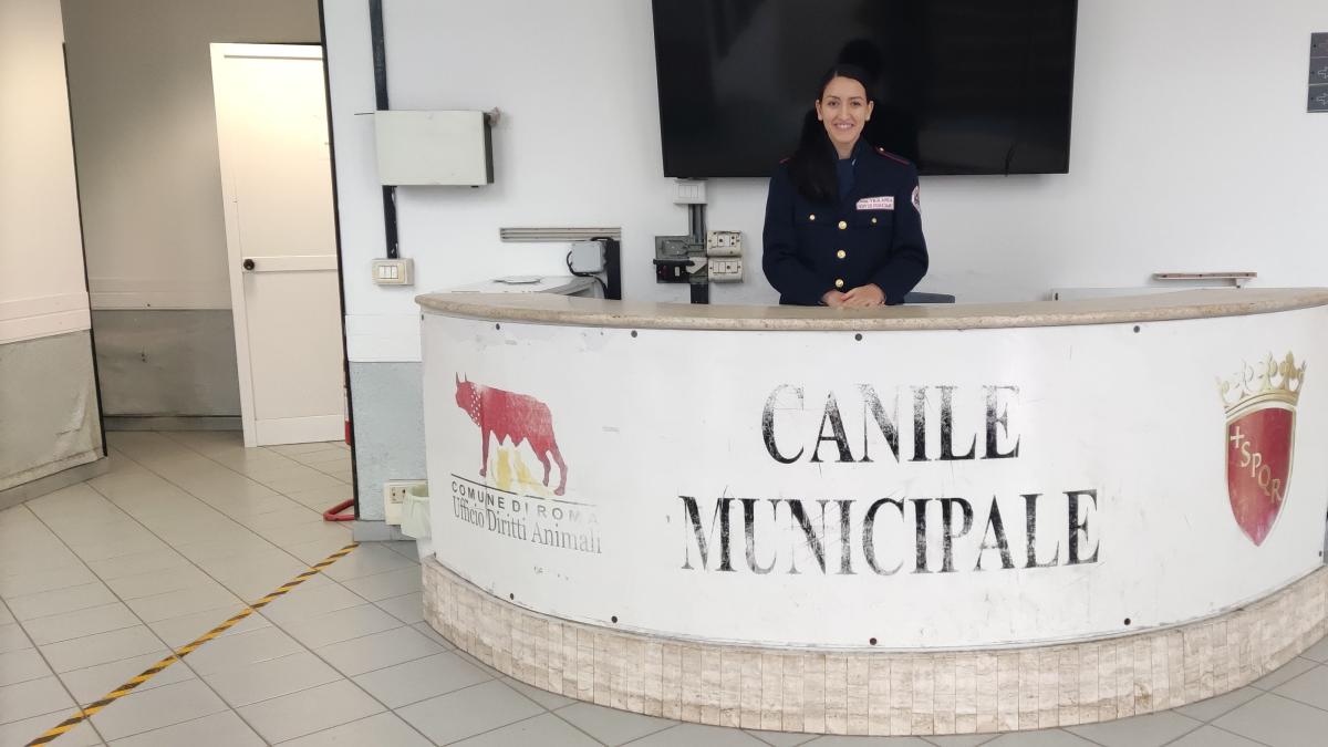 Canile della Muratella a Roma: portiere notte e giorno per «la ...