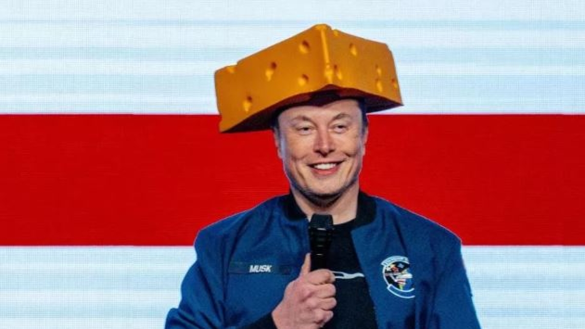 Musk e il Wisconsin: il perché del bizzarro copricapo a fetta di ...