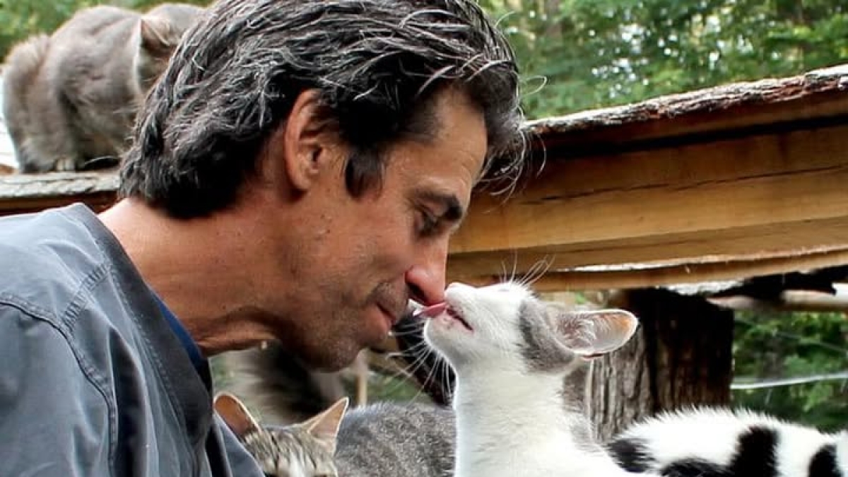 Christopher Arsenault, una vita per i gatti. Muore nel tentativo di ...