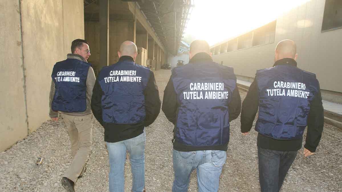 Bologna, la banda degli oli rubati e del «Petrolio dorato»: «Dal ...