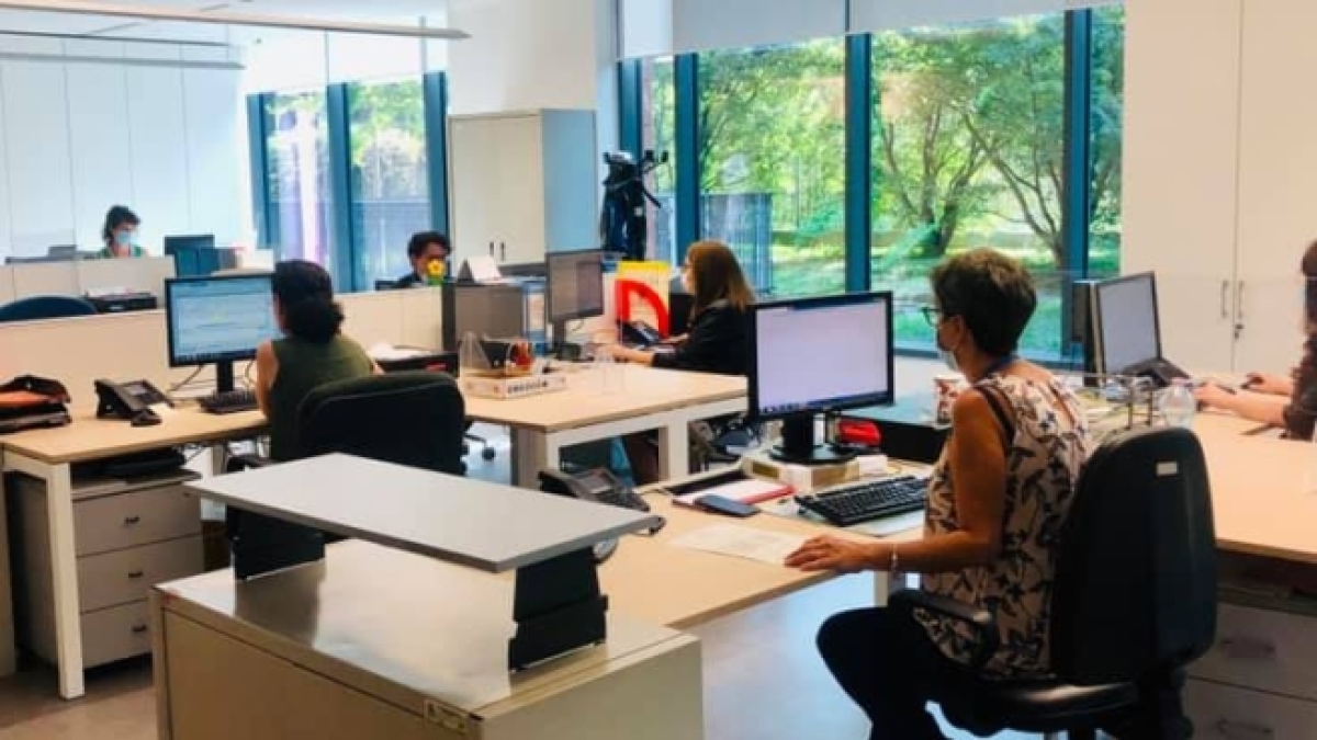 Assunzioni in Comuni ed enti locali: dai bibliotecari ai contabili, si ...