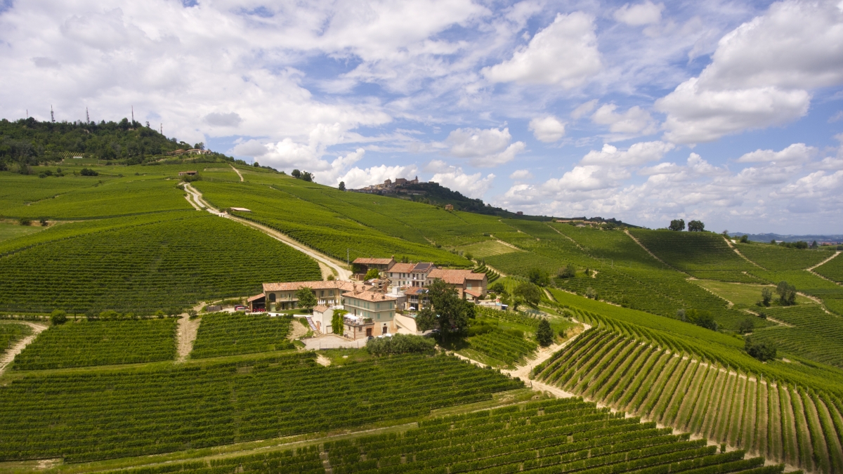Tredici luoghi in Piemonte dove vivere la vendemmia nella bellezza ...