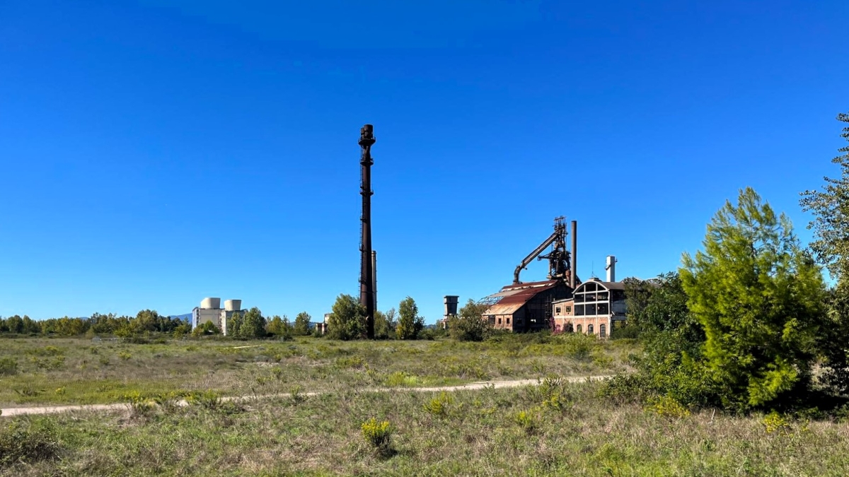 L’ex Ilva di Napoli è diventata una riserva: lepri, cicogne, falchi e ...