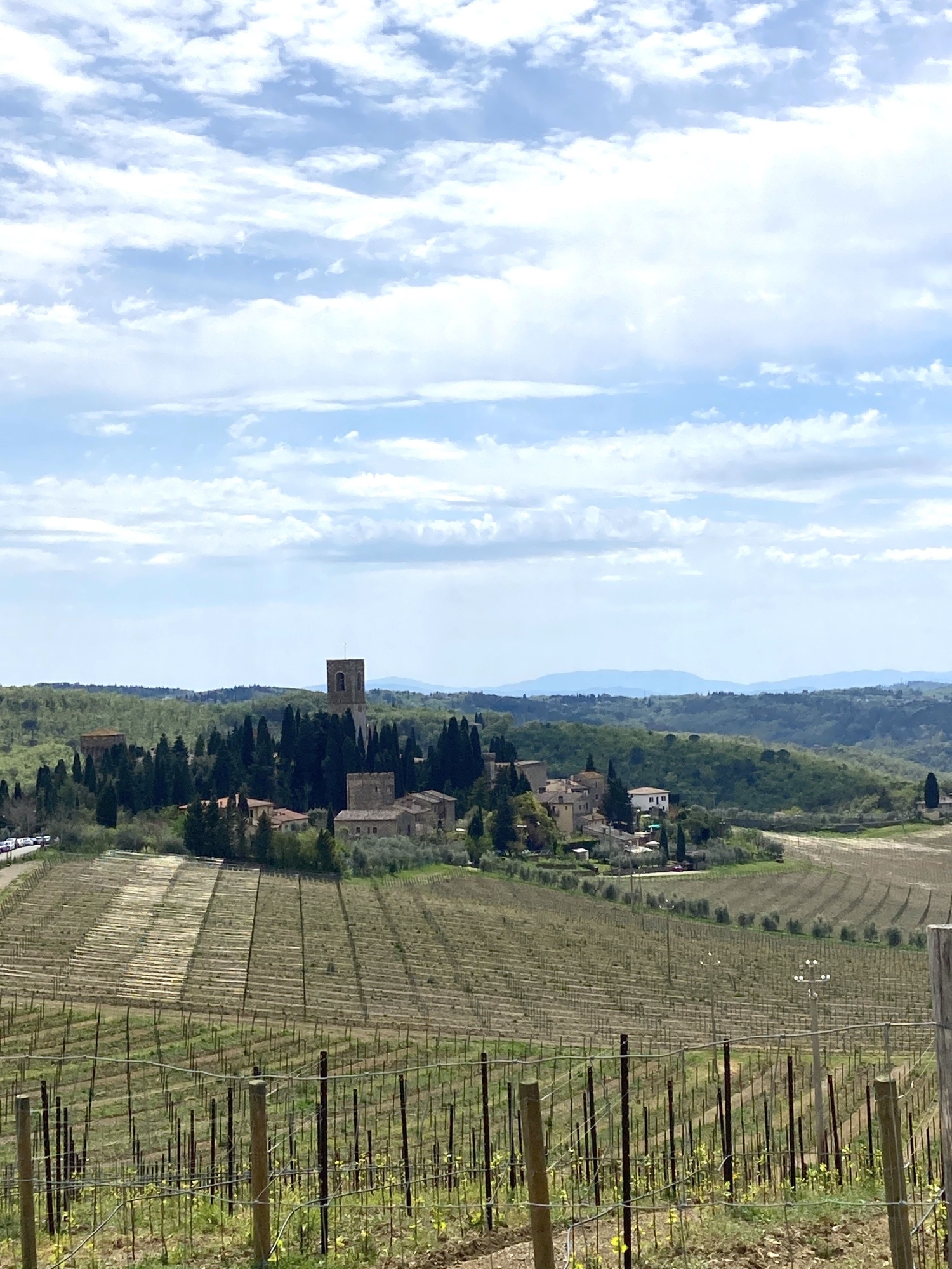Alla scoperta della via Romea Sanese: il trekking nel Chianti che non ...