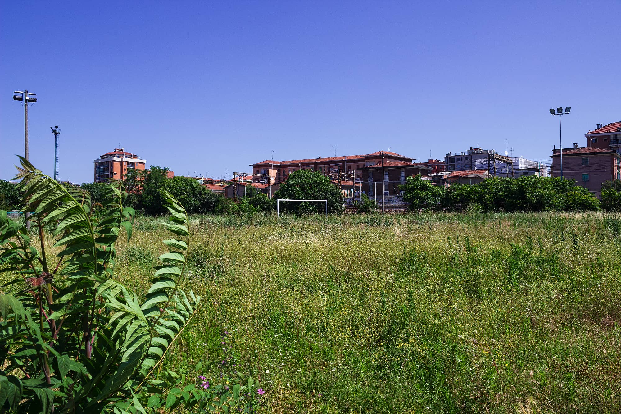 Parco Sud, il percorso verde sulle orme degli antichi pellegrini ...