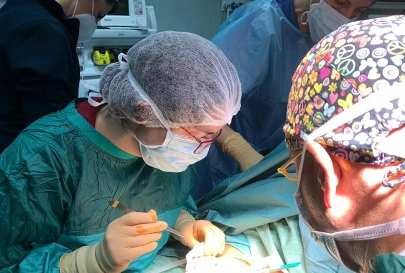 Ragazza aggredita da un cane corso: ferite profonde e fratture alle ...