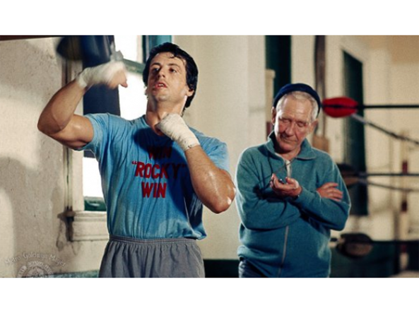 «Rocky» stasera su Tv8 : il cane venduto per 50 dollari, le costole ...