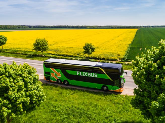 FlixBus, come funziona la low cost dei trasporti europei su pullman ...