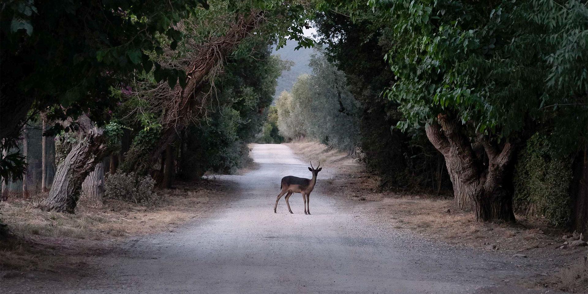 Cosa fare a Torino nel weekend, gli eventi dal 19 al 21 aprile: dal Jazz Festival a Lovers ...