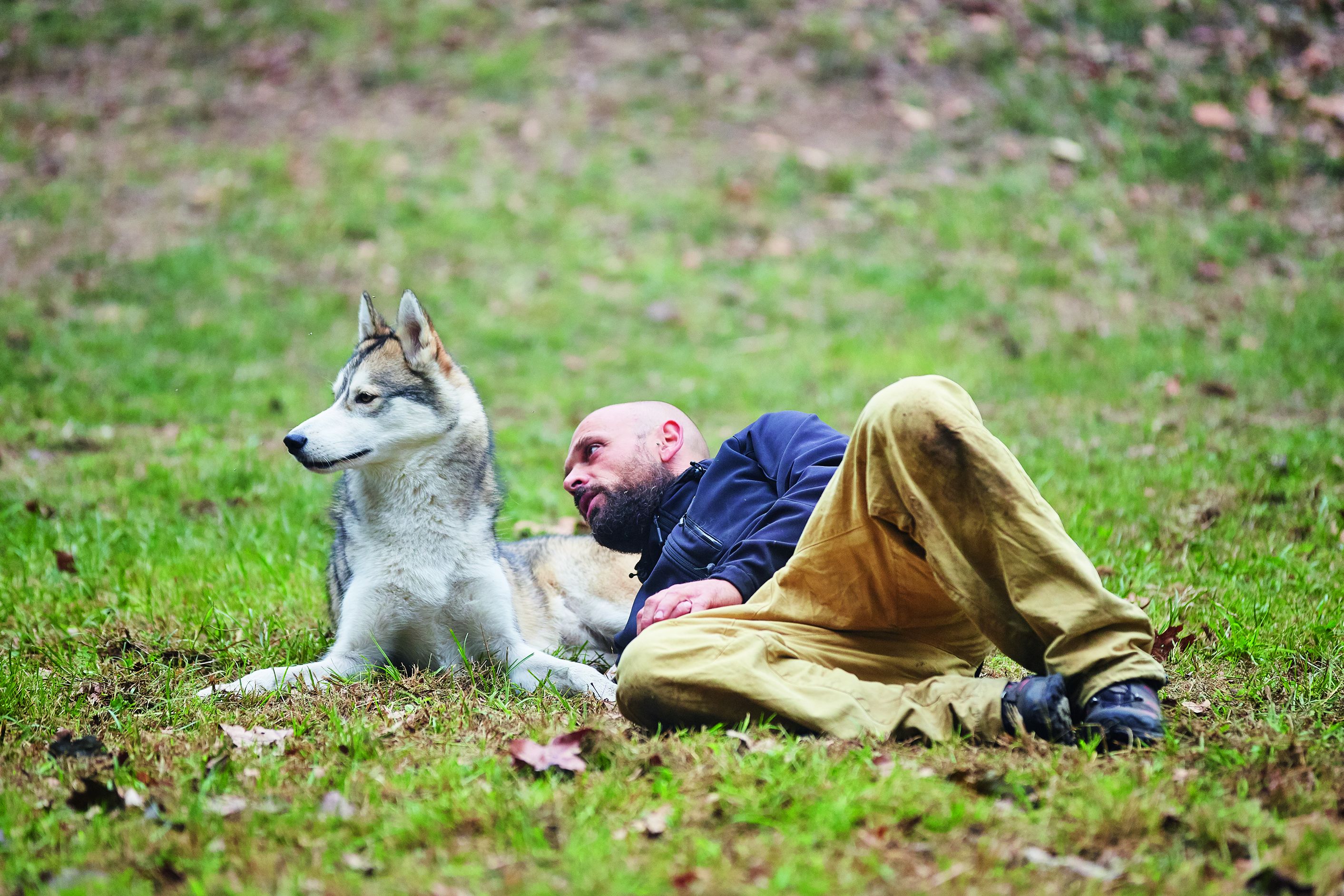 Come si gioca con un cane? «Divertendosi e sorridendo». I consigli di ...