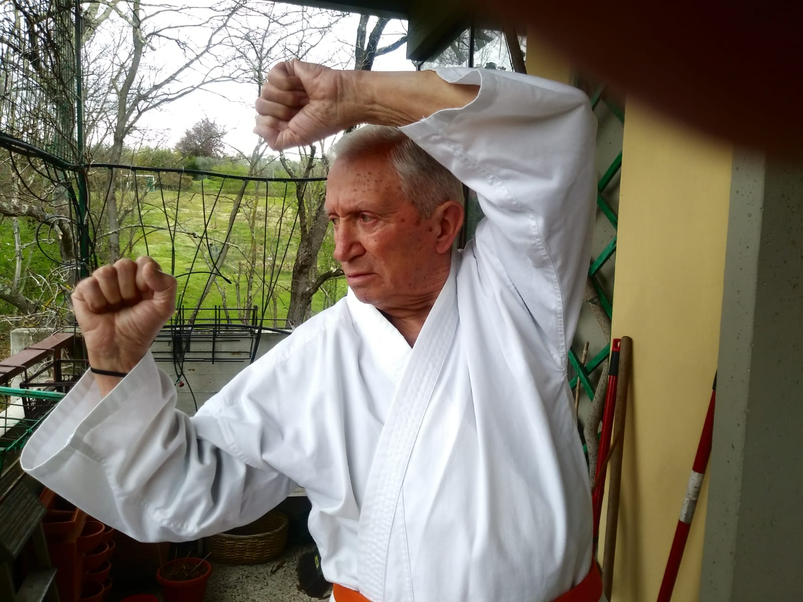 Gino, a 91 anni è cintura verde blu di karate: «Il medico mi ha detto ...