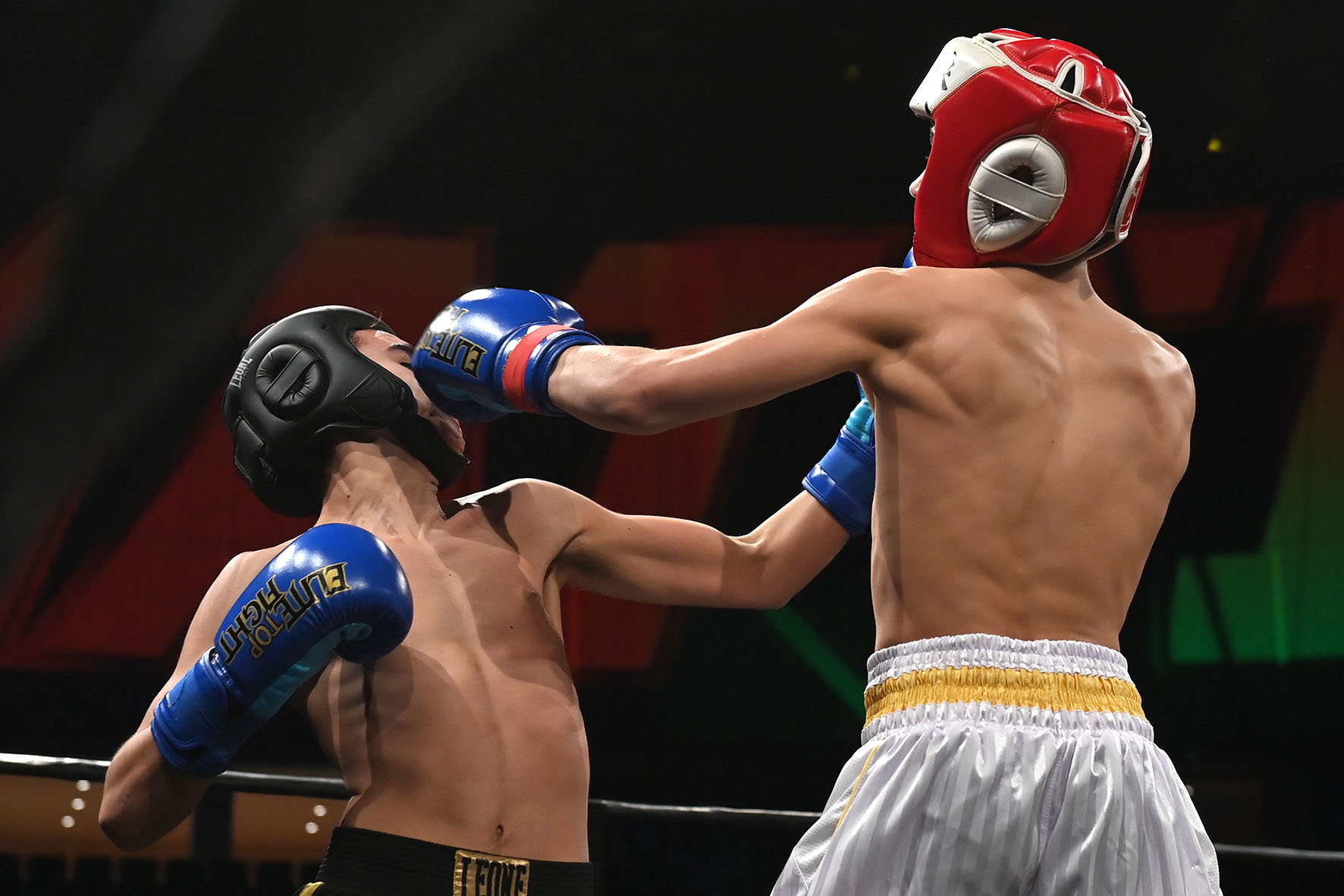 Lorenzo Berlusconi vince l'incontro di boxe in tre round: il figlio di ...