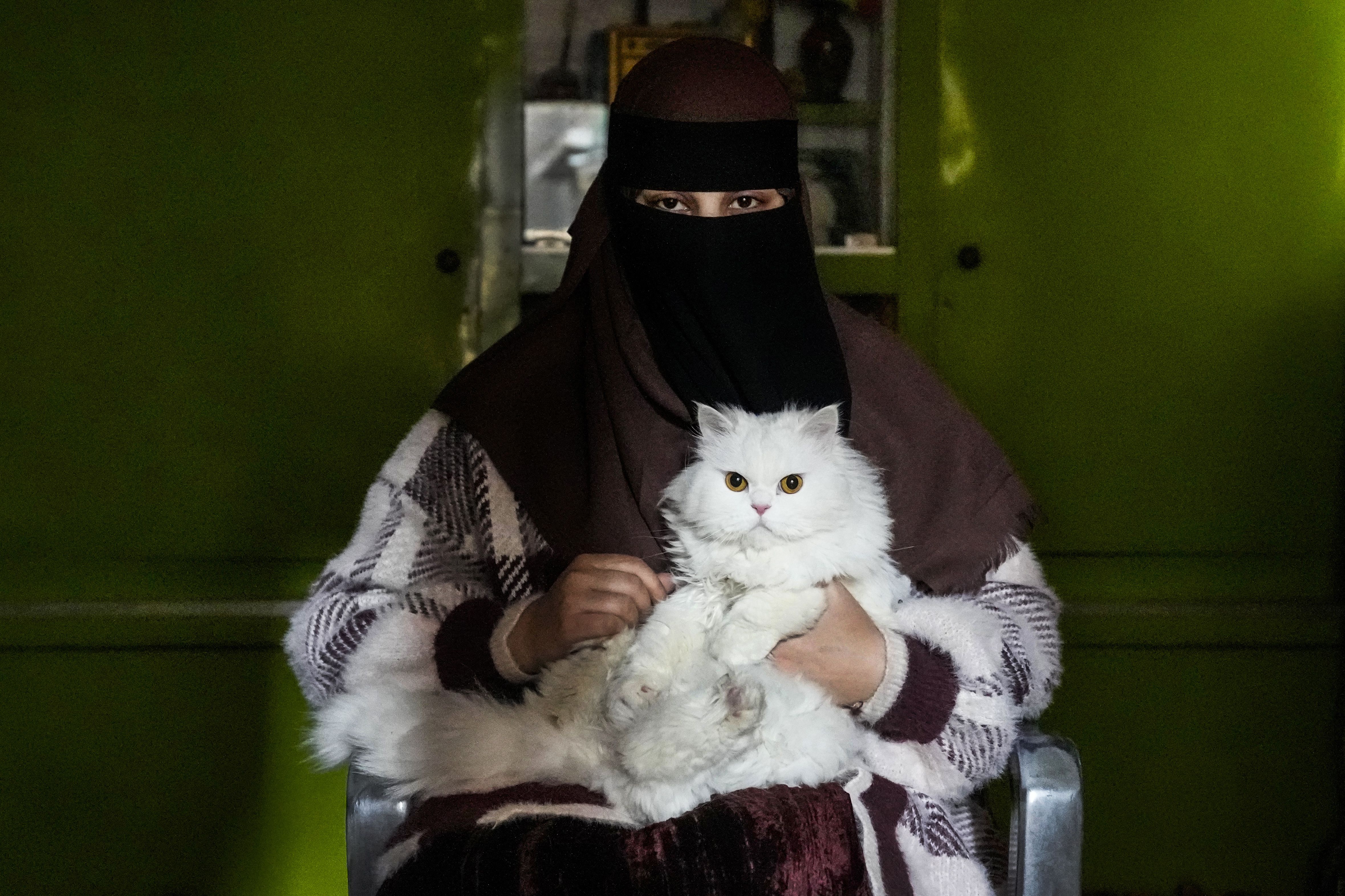 «I gatti portano malattie». Post equivocati fanno scattare il panico ...