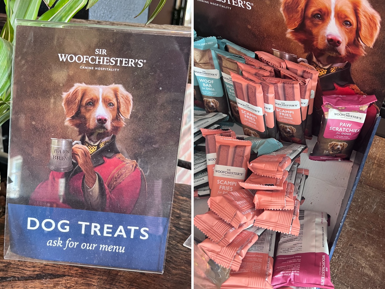 Sei un locale «dog friendly»? E allora dillo. Ma dillo bene! In Gran Bretagna fanno così ...