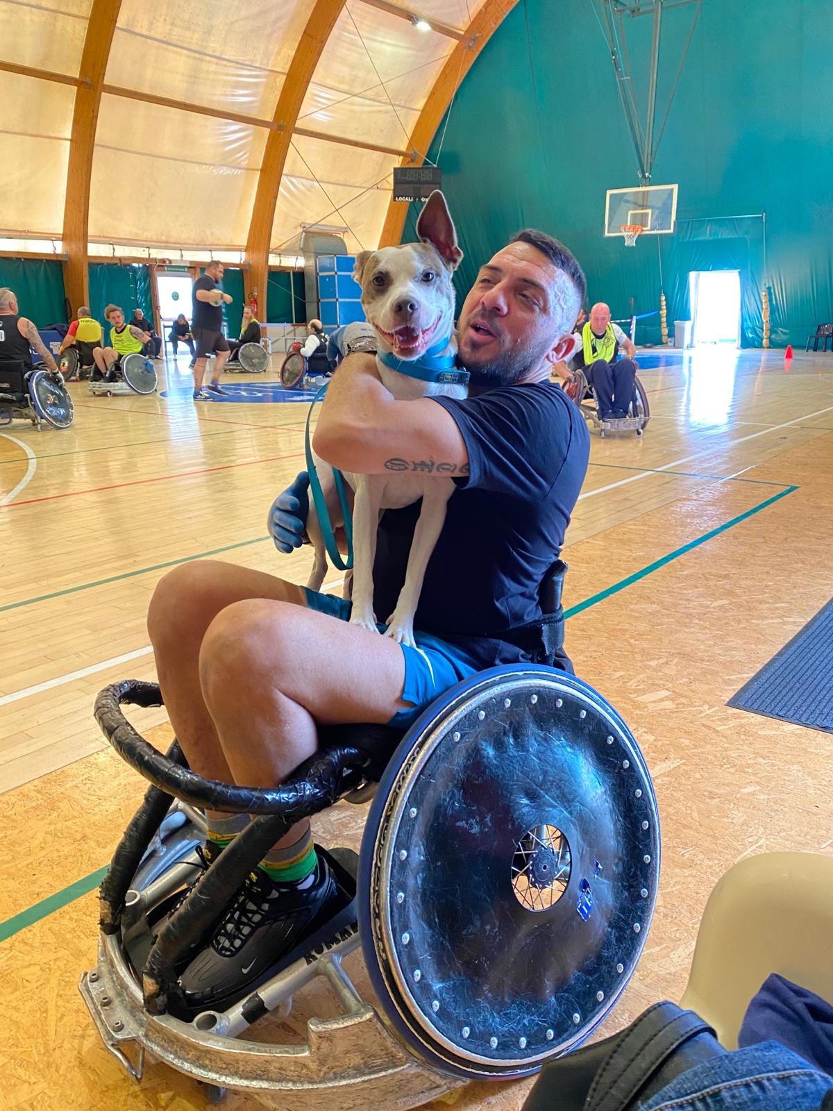 La storia di Mosli, che salta in braccio a tutti i passanti in ...