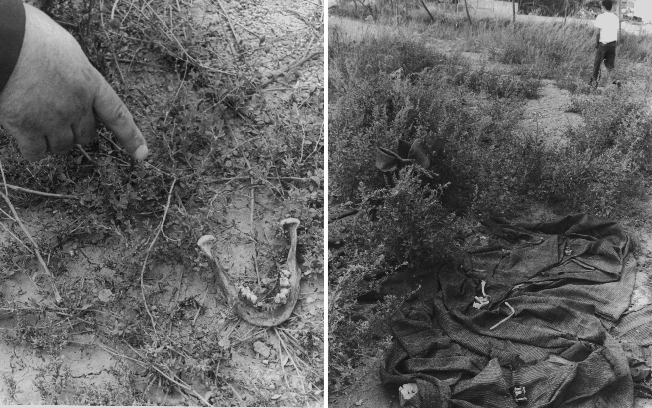 Roma, il giallo dimenticato di Pina Morelli, l'«angelo fragile» trovato ...