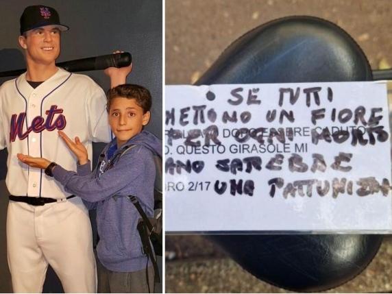 Milano, un tappeto di girasoli al campetto di via Dezza, in ricordo di ...