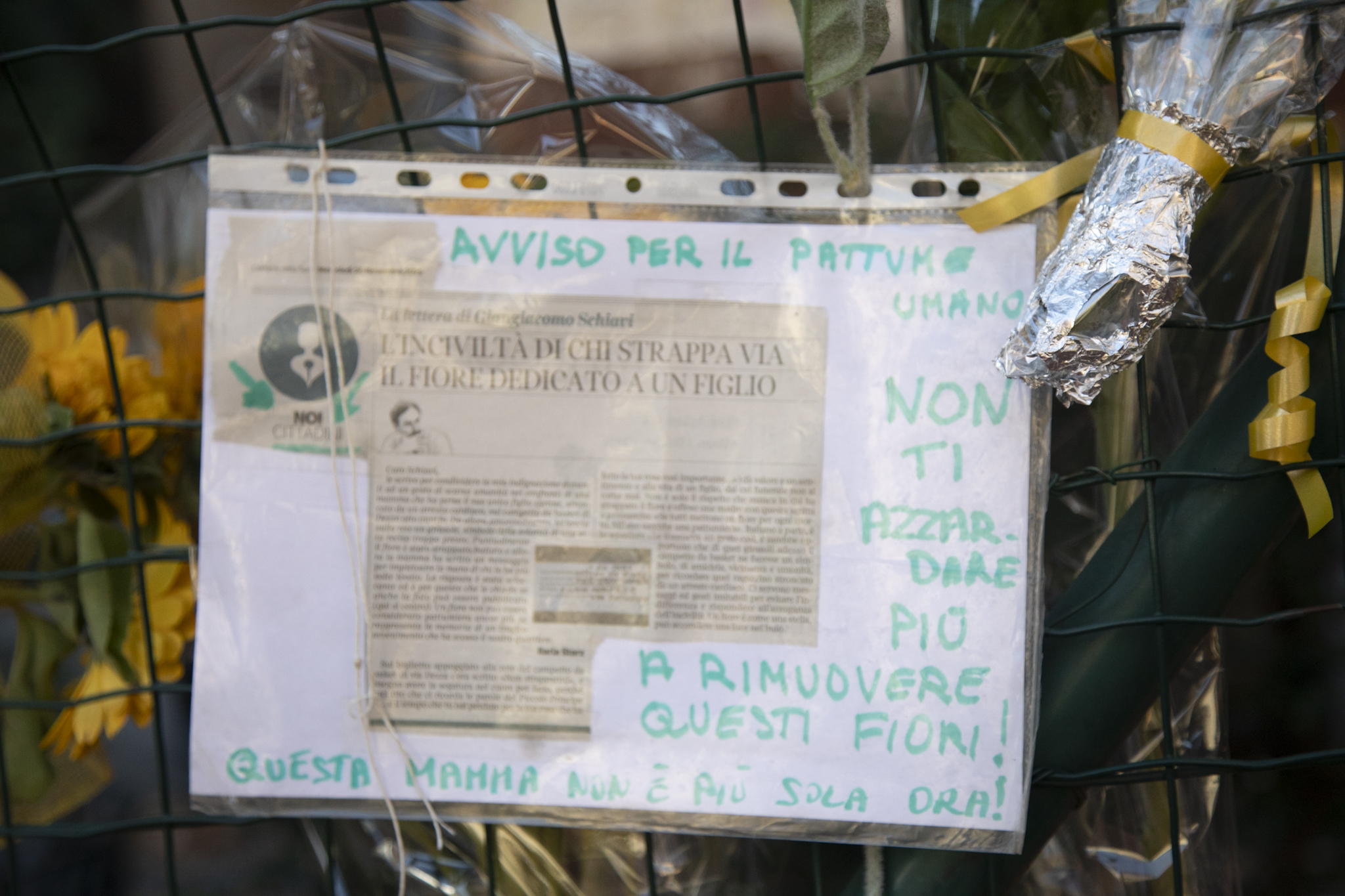 Milano, un tappeto di girasoli al campetto di via Dezza, in ricordo di ...